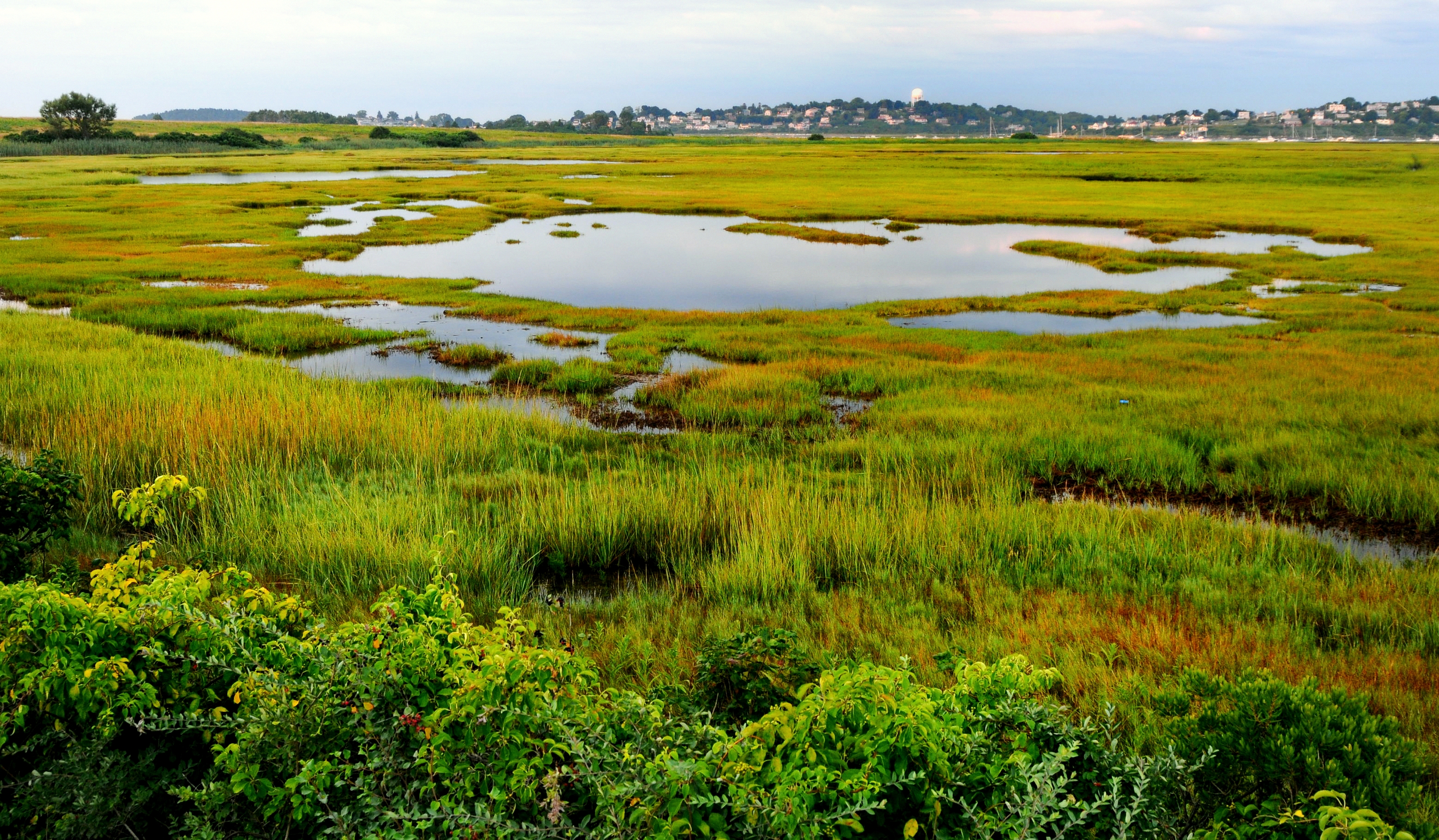 Great Marsh project wins leadership award | Mass.gov